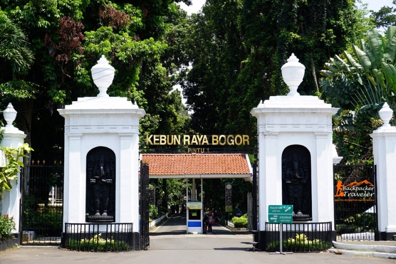 Kebun Raya Bogor: Tiket Masuk, Spot Foto, & Aturan Piknik