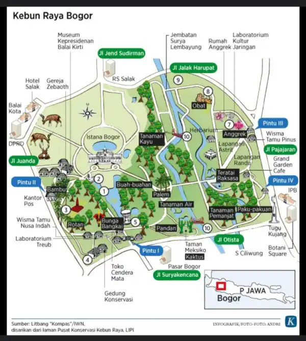 Kebun Raya Bogor: Tiket Masuk, Spot Foto, & Aturan Piknik
